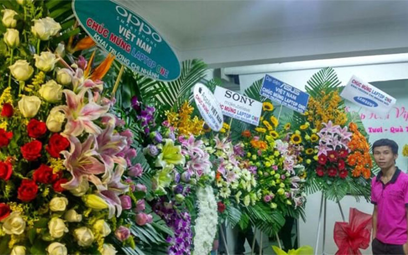 Shop Hoa Tươi Quận Phú Nhuận, Giao Hoa Free