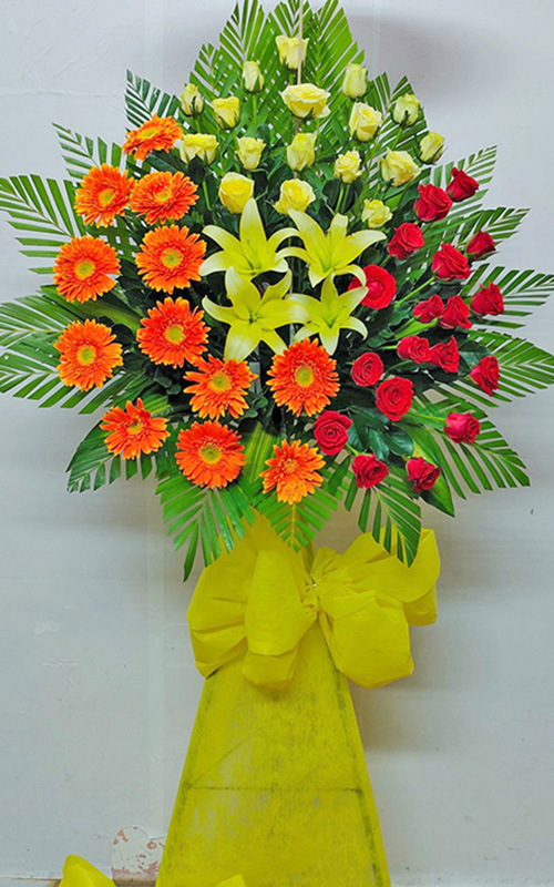 Mua Hoa Tặng Khai Trương - Hkt291